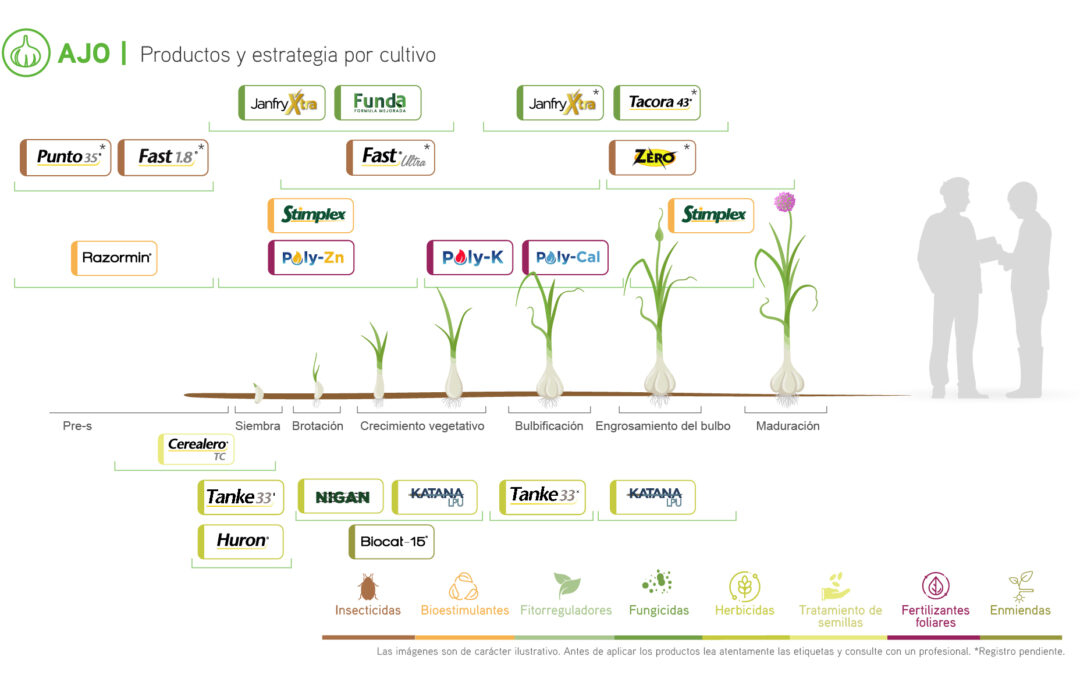 Fenologia archivos - GLEBA