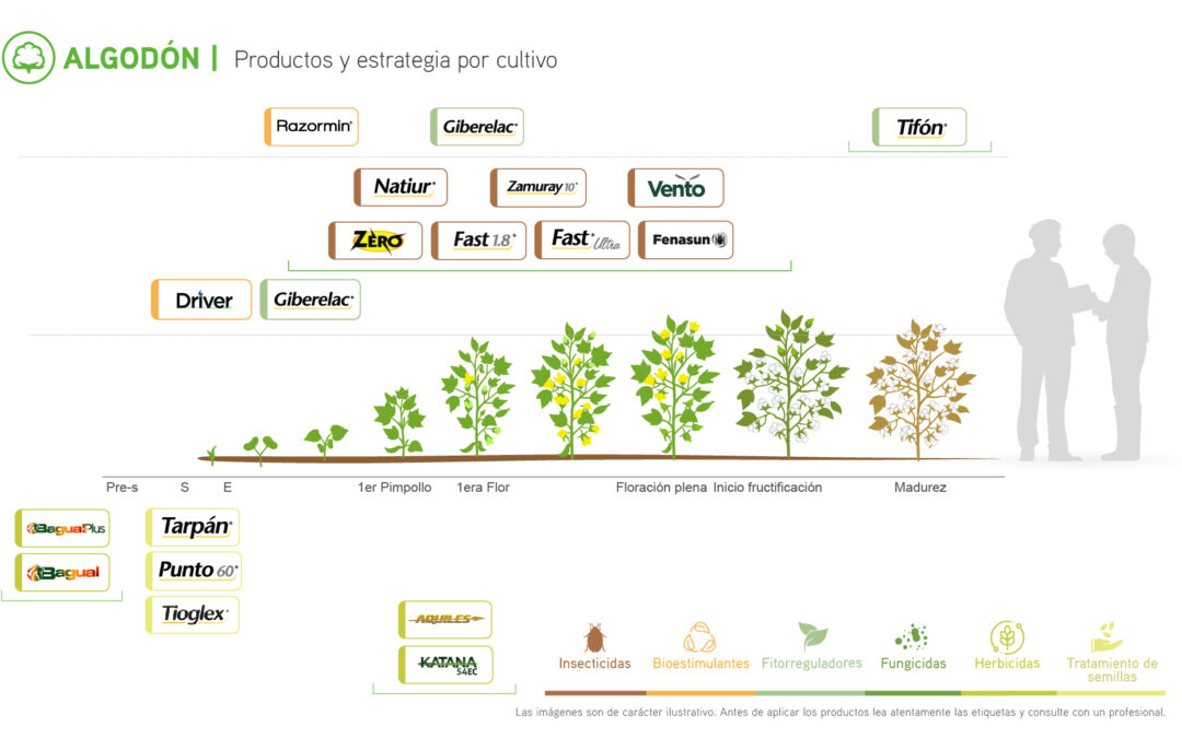 Fenologia archivos - Página 2 de 3 - GLEBA