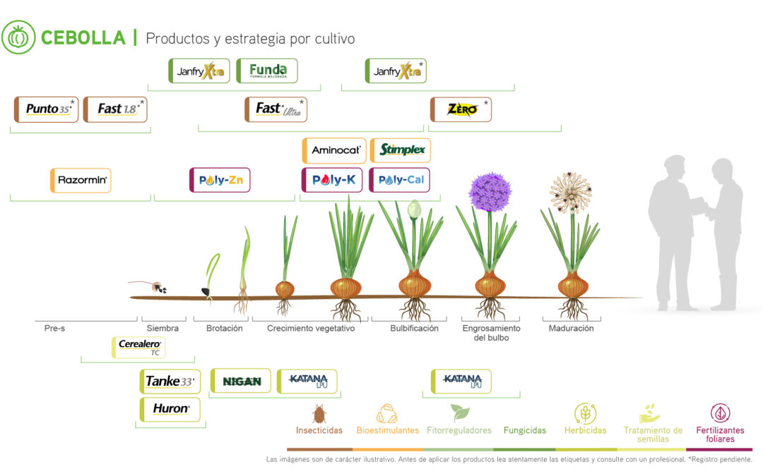 Fenologia archivos - GLEBA