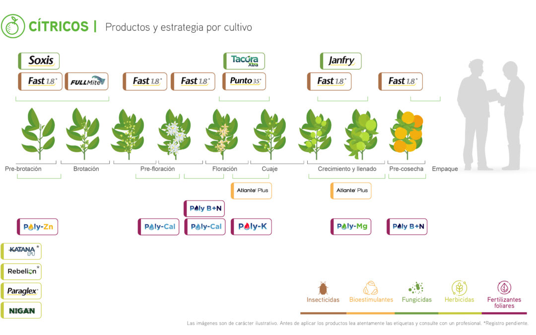 Fenologia archivos - GLEBA