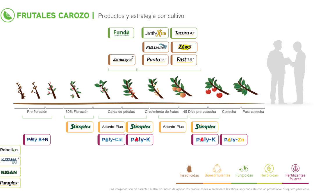 Fenologia archivos - Página 2 de 3 - GLEBA