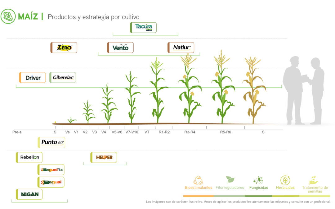 Fenologia archivos - Página 2 de 3 - GLEBA