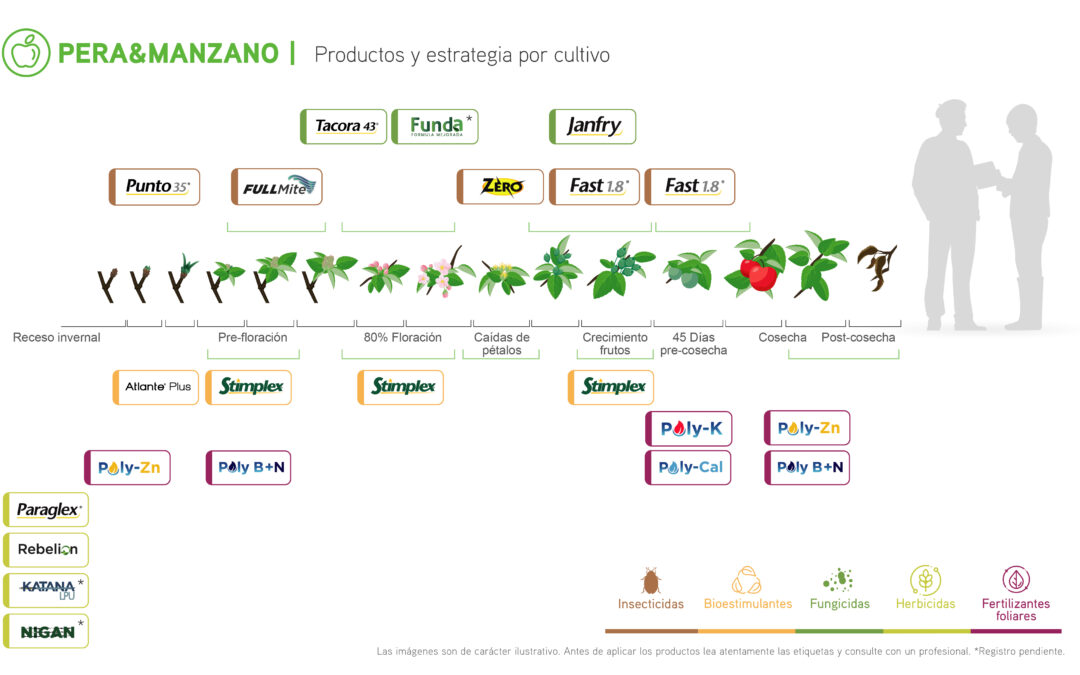 Fenologia archivos - Página 2 de 3 - GLEBA