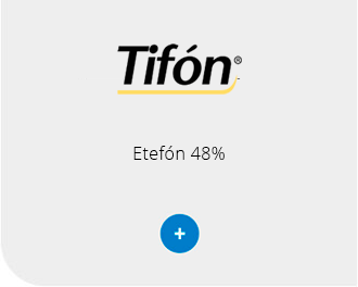 Tifón - GLEBA
