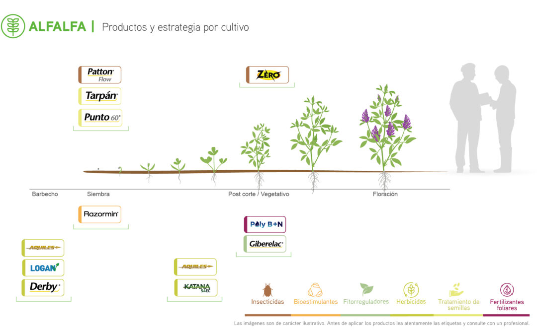 Fenologia archivos - GLEBA