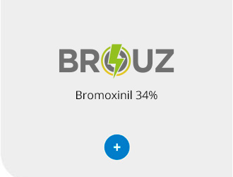 Brouz - GLEBA
